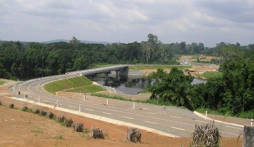 Bamenda-Mamfe-Ekok Road Depleting Biodiversity in Southwest – The Green ...