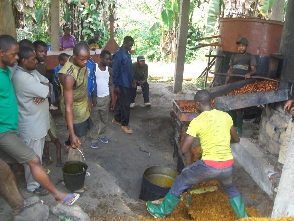 Footprints of Social Business Activities In Lebialem Highlands ...