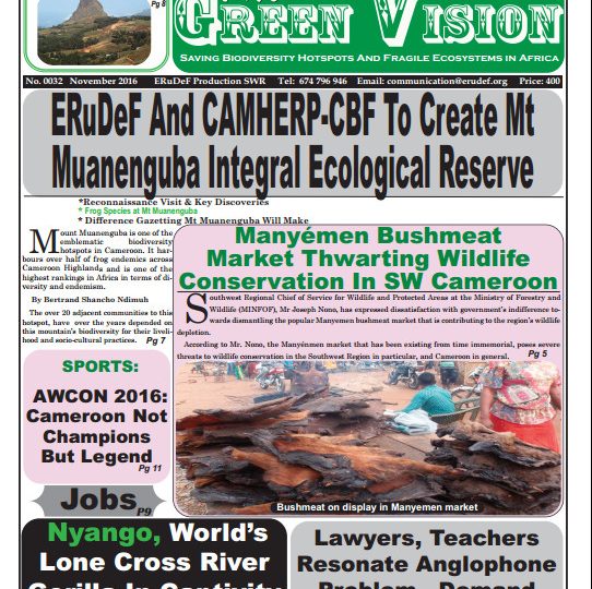Green Vision Newspaper 0033 – The Green Vision